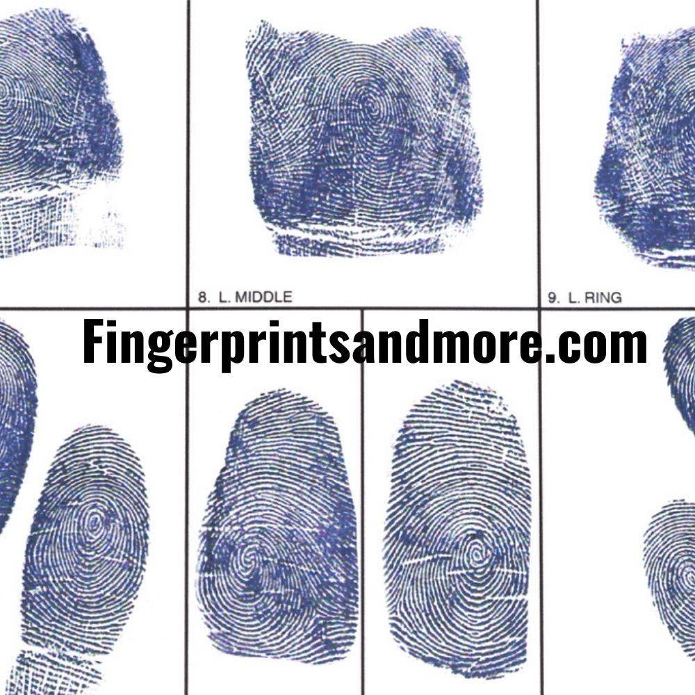 Fingerprinting Near Me FingerprintsFranklin Fingerprinting Near Me FingerprintsFranklin